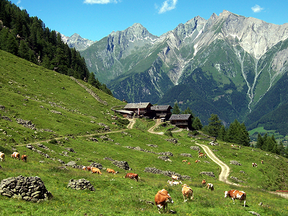 Almgeschichten – Folge 7: